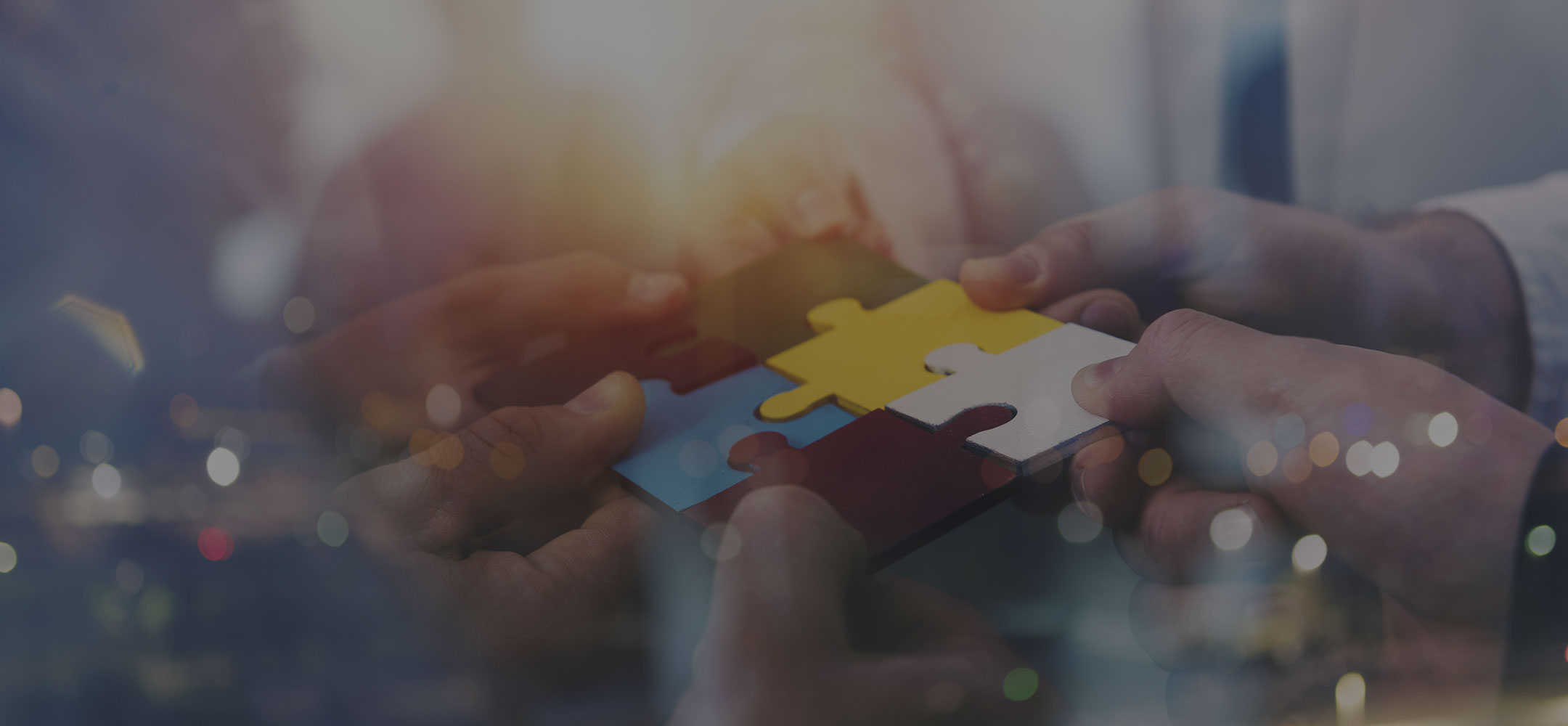Some of our Strategic CRO Partners | Webtrends Optimize Some of our Strategic CRO Partners | Webtrends Optimize